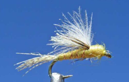 CDC Biot Comparadun - PMD – Glenwood Springs Outdoors