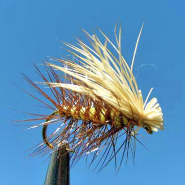 Yellow Elk Hair Caddis Dry Fly — Caddis Pattern | Glenwood Springs Outdoors