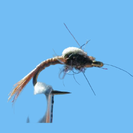 Foamback Emerger - Chocolate - Emerger Fly Pattern | Glenwood Springs ...