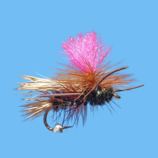 PMX Peacock Dry Fly — Peacock Herl Attractor Pattern | Glenwood Springs ...