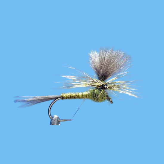 Parachute Quill CDC Dry Fly — Technical Mayfly Pattern | Glenwood ...