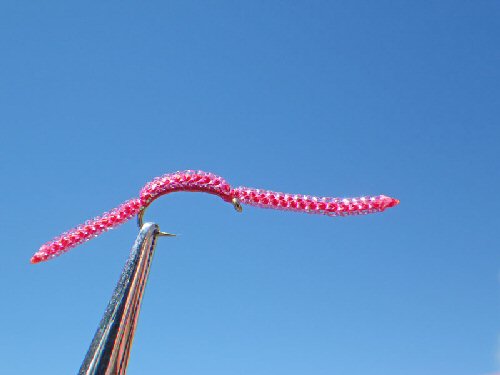 Sparkle Worm - Red – Glenwood Springs Outdoors