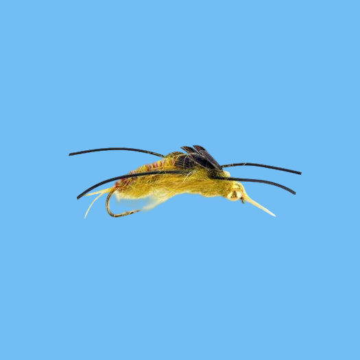 GB Rubber Legged Stone Nymph — Stonefly Pattern | Glenwood Springs Outdoors