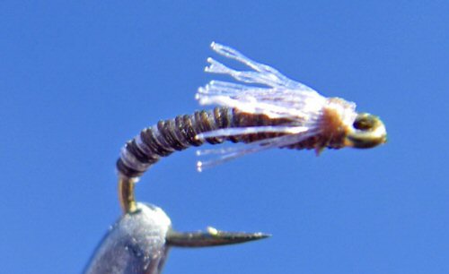 Juju Bee Midge - Brown – Glenwood Springs Outdoors